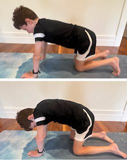 Scapula Winging - Port Melbourne Physiotherapy & Pilates!